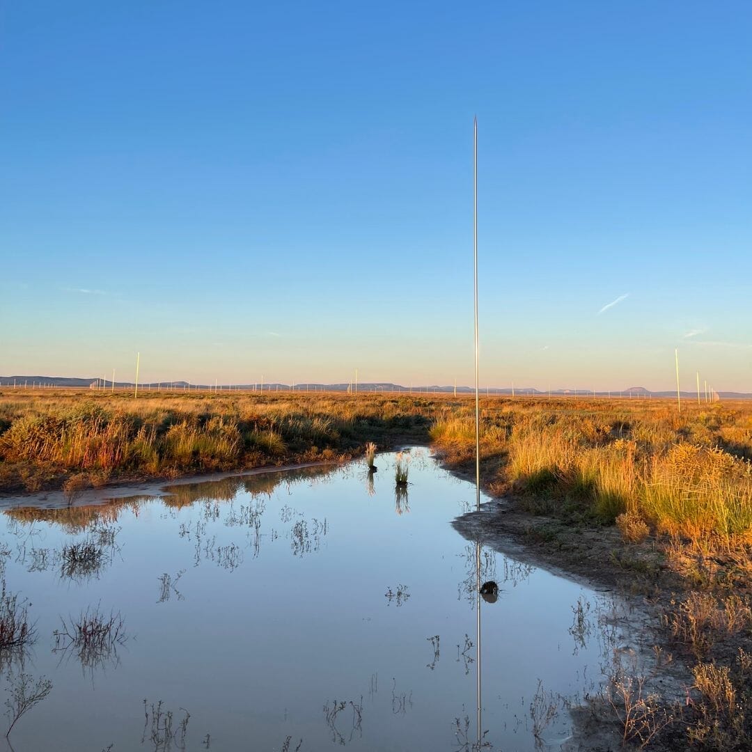 SGA Summer Photos Series | Week 2 - SGA